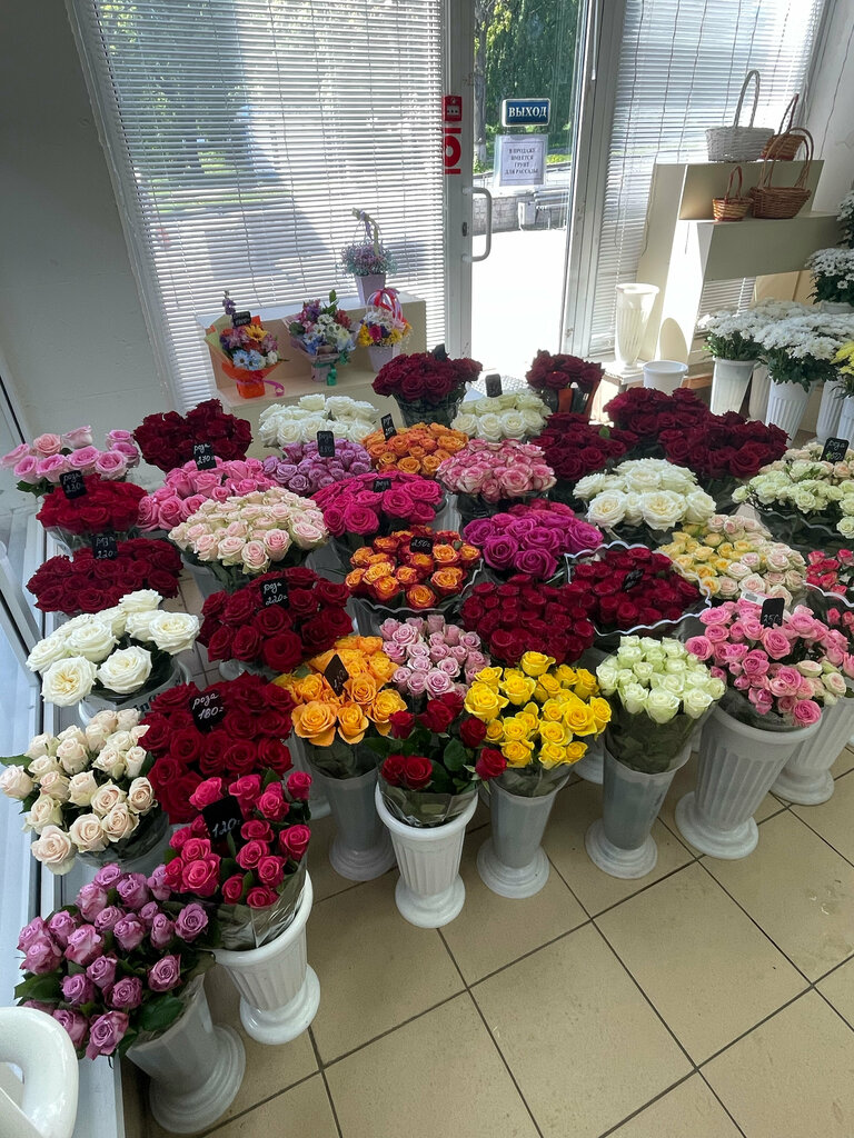 Çiçekçiler Цветы, Vladimir, foto