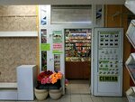 Семена (praspiekt Budaŭnikoŭ No:15), tohum satan yerler  Vitebsk'ten