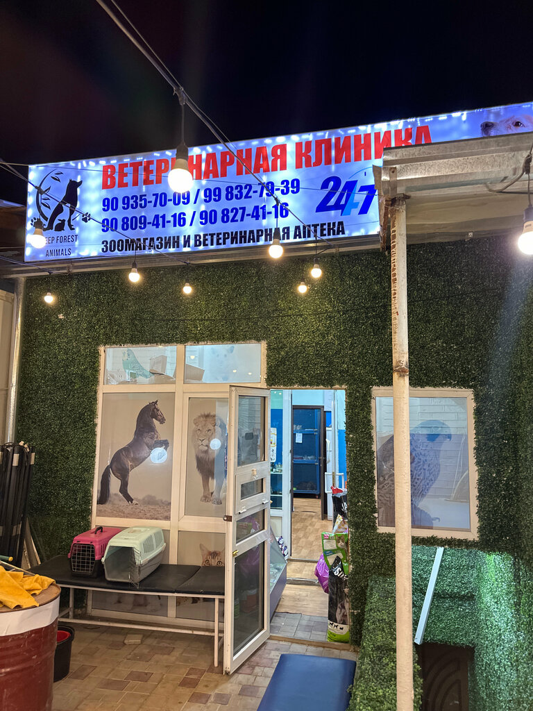 Veteriner klinikleri Deep forest animals, Taşkent, foto
