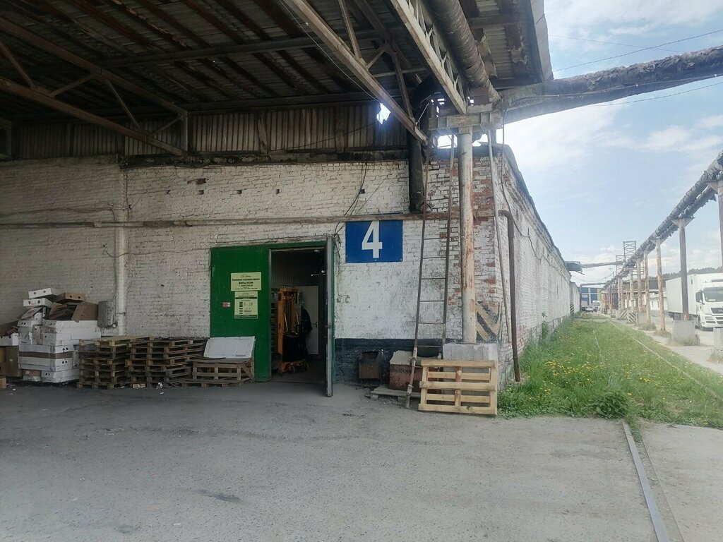 Sera ve bahçe ürünleri Zelenaya sfera, Yekaterinburg, foto