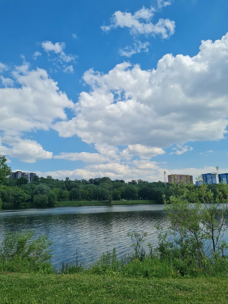 Piknik alanı Место для пикника, Moskova, foto