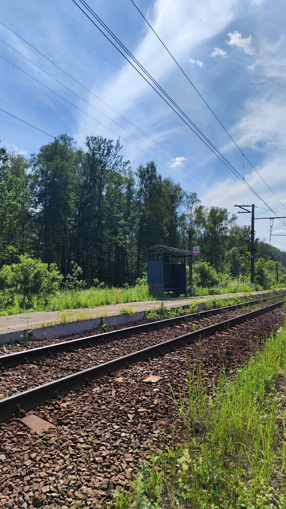 Tren istasyonu остановочный пункт 328 километр, Moskova ve Moskovskaya oblastı, foto