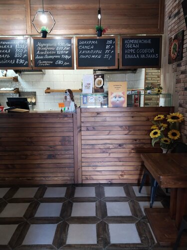 Pizzacılar Satisfied cat, Moskova ve Moskovskaya oblastı, foto