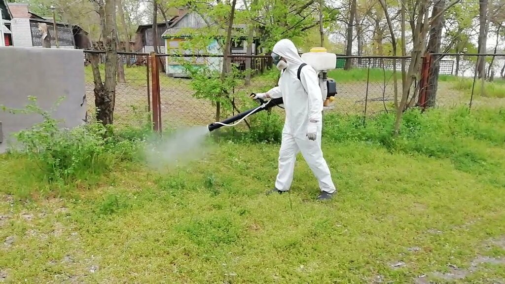 Haşere ilaçlama firmaları ДезинфекторЮг, Soçi, foto