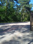 Морская (Kaliningrad Region, Svetly, kvartal Komsomolskiy posyolok), toplu taşıma durağı  Svetly'den
