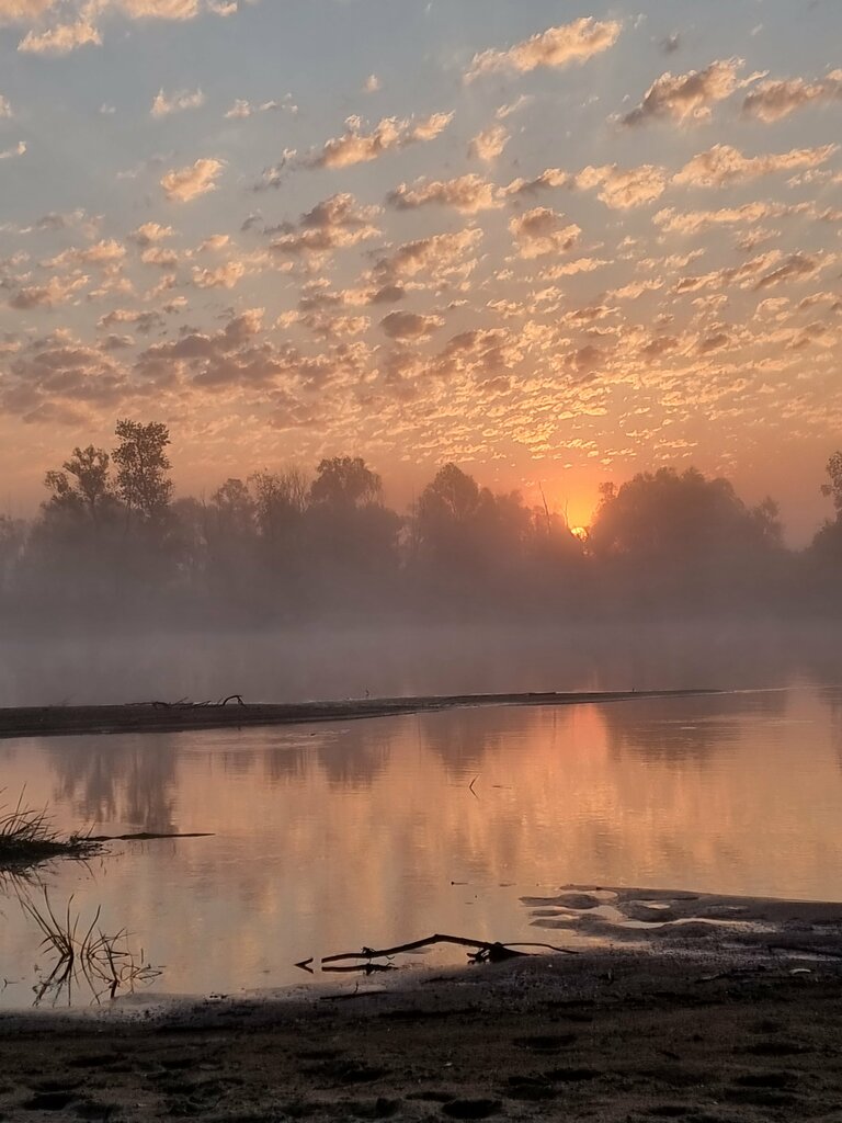 Parklar ve ormanlar Туровский луг, Gomelskaya oblastı, foto