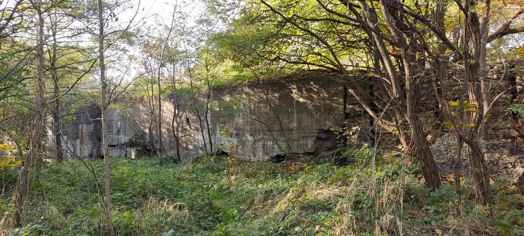 Turistik yerler ДОТ, Brest, foto