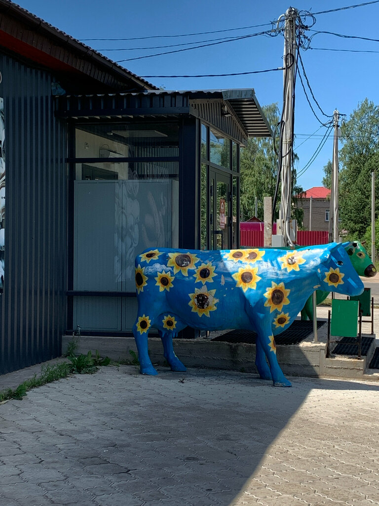 Kasap, şarküteri Мясопродукты, Novgorodskaya oblastı, foto