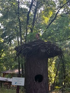 Hayvanat bahçeleri Учебно-образовательный комплекс ЛукАморье, Jiguliovsk, foto