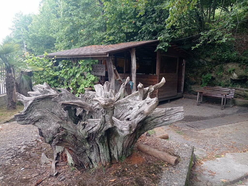 Pınar, çay Spring, stream, Soçi, foto