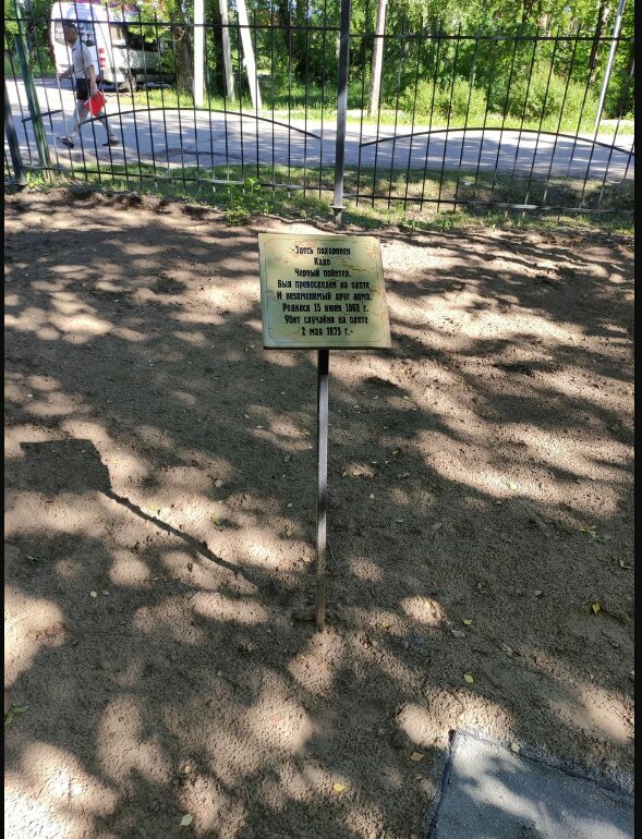 Turistik yerler Могила Кадо, Chudovo, foto