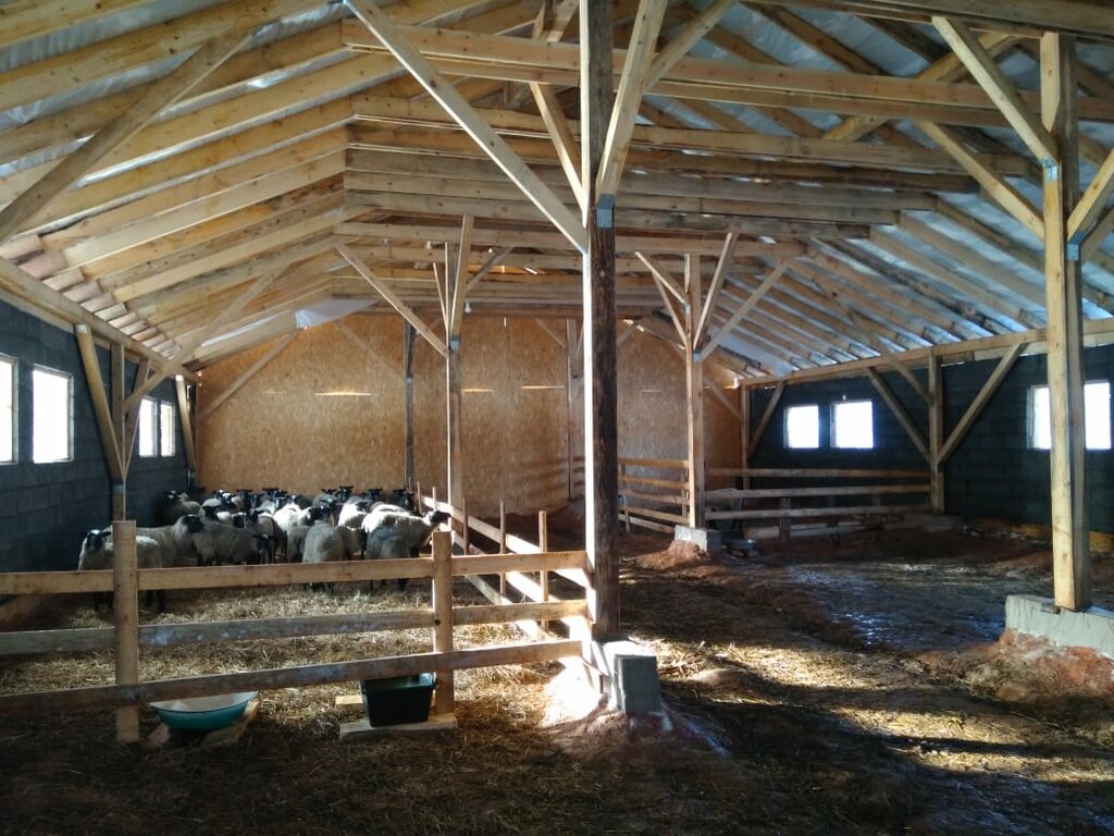 Hayvancılık Sderevni, Saint‑Petersburg ve Leningradskaya oblastı, foto