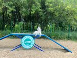 Dog park (Nizhniy Novgorod, Beryozovskiy Microdistrict), köpek gezdirme alanları  Nijni Novgorod'dan