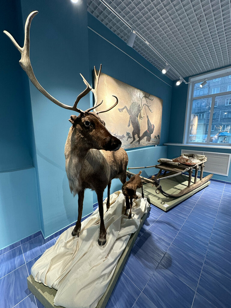 Müzeler ve sanat galerileri МБУК Воркутинский музейно-выставочный центр, Vorkuta, foto