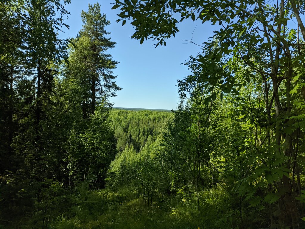 Dağ zirvesi Ермол-гора, Arhangelskaya oblastı, foto