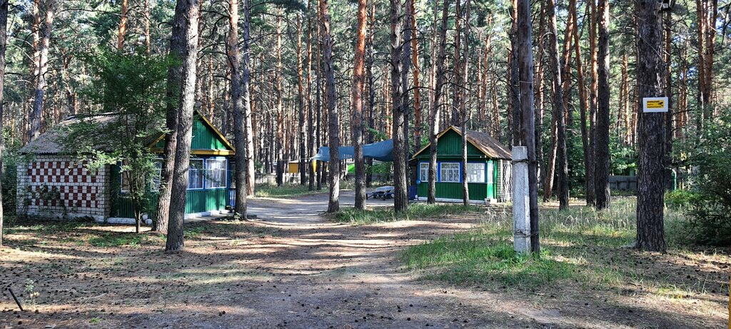 Tatil köyleri Сосновый бор, Volgogradskaya oblastı, foto