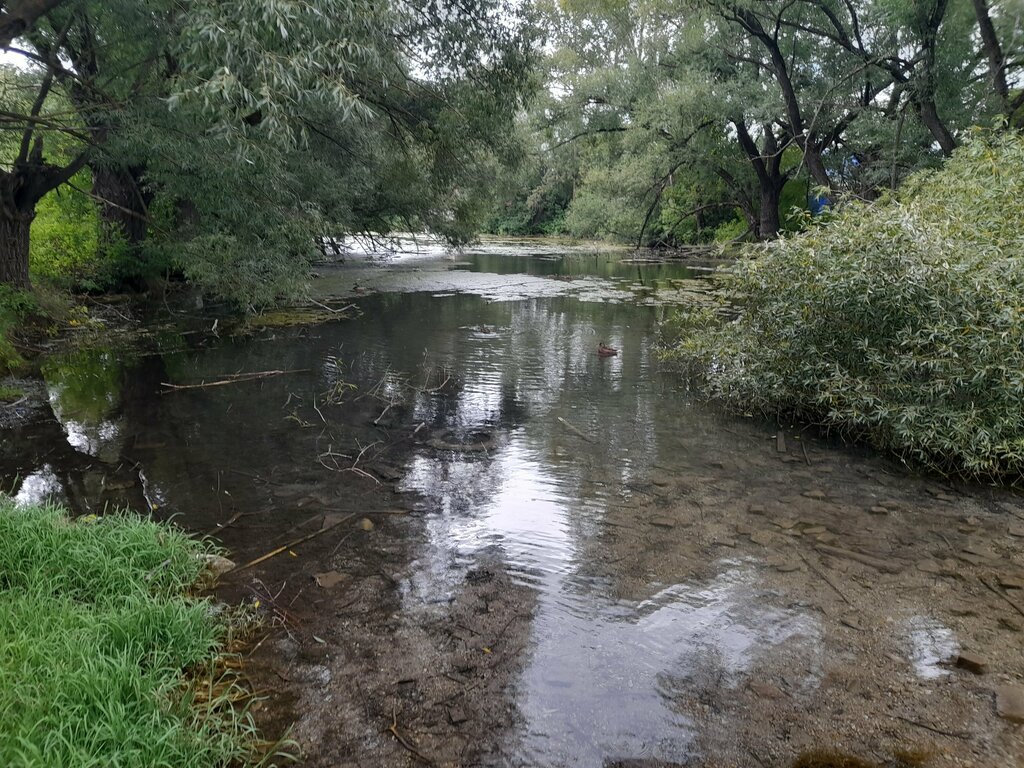 Pınar, çay Spring, stream, Ulyanovskaya oblastı, foto