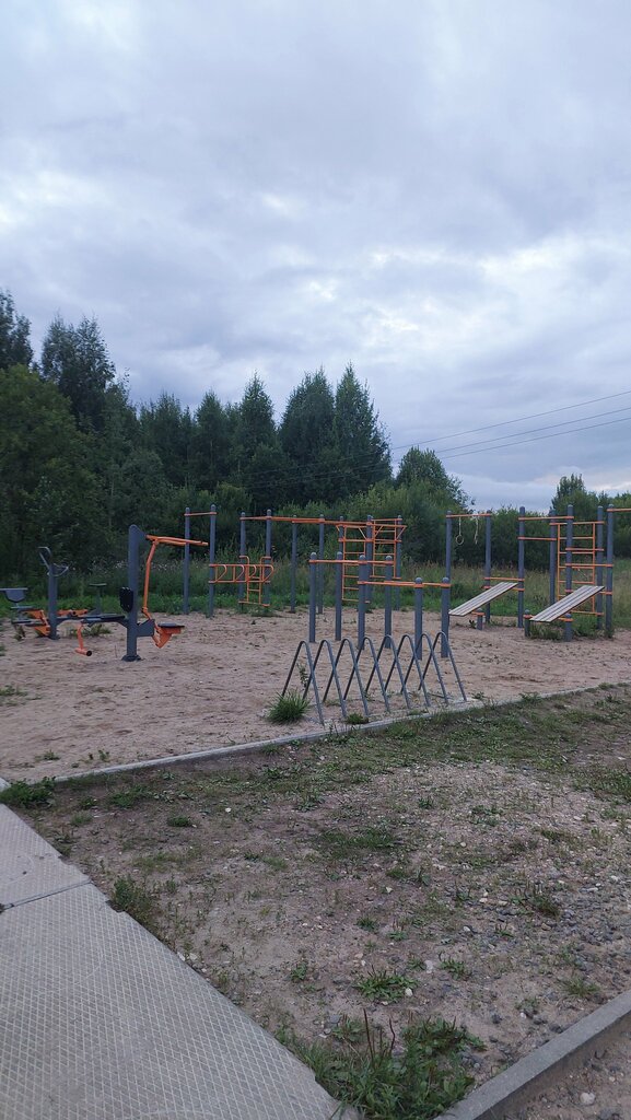 Oyun alanı Детская площадка, Vologda, foto