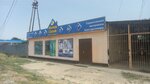Samal Sabitkyzy (No:665, 235-shi oram, Shymkent), fotokopi dükkanları  Çimkent'ten (Şımkent'ten)
