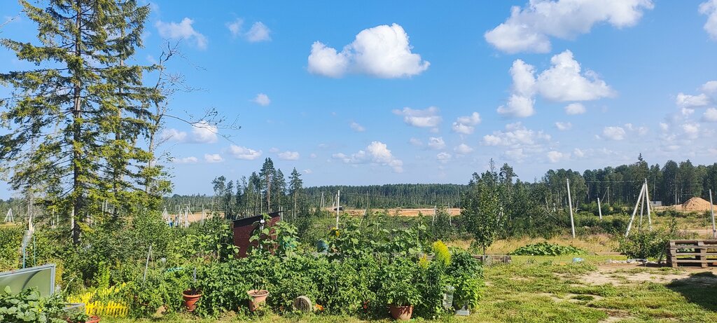 Bahçecilik dernekleri ve kuruluşları СНТ у Лукоморья, Saint‑Petersburg ve Leningradskaya oblastı, foto