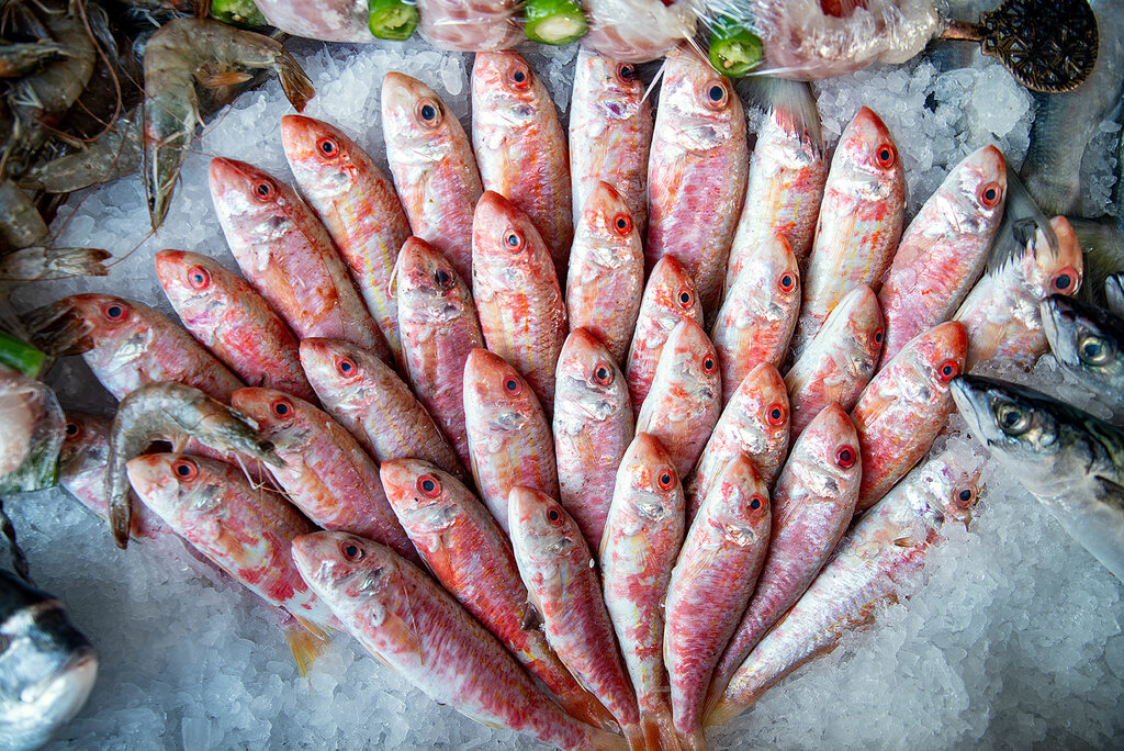 Restoran Balıkçı Doğanın, İzmir, foto