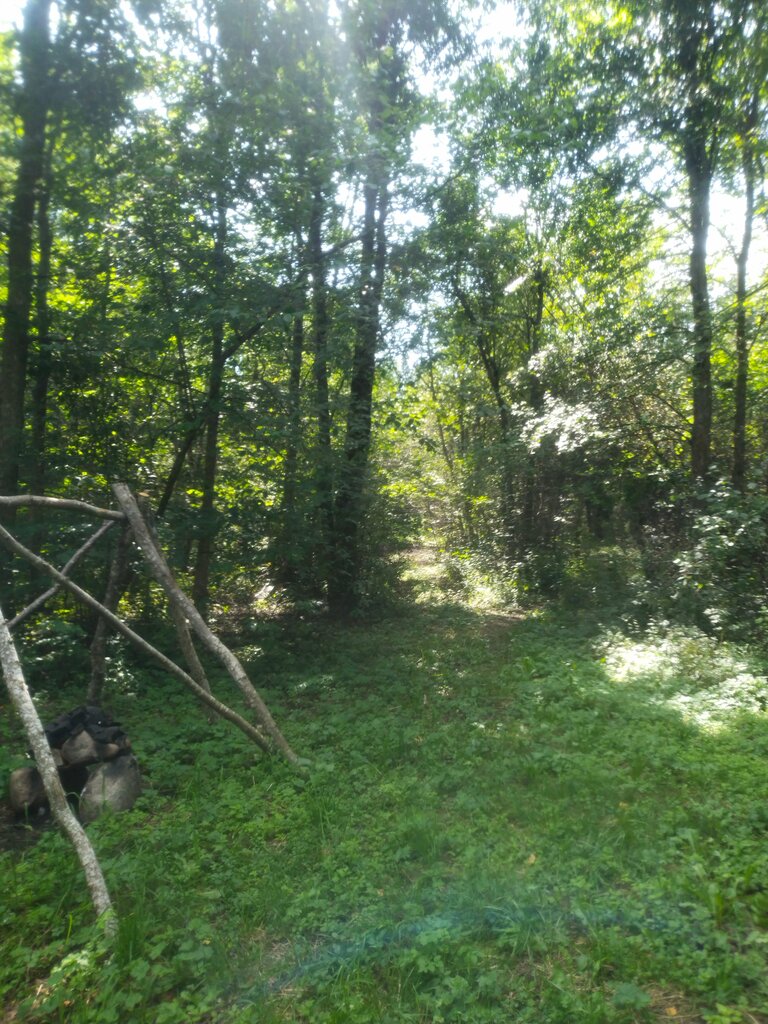 Kamp alanları Турстоянка Евдакимовская, Smolenskaya oblastı, foto