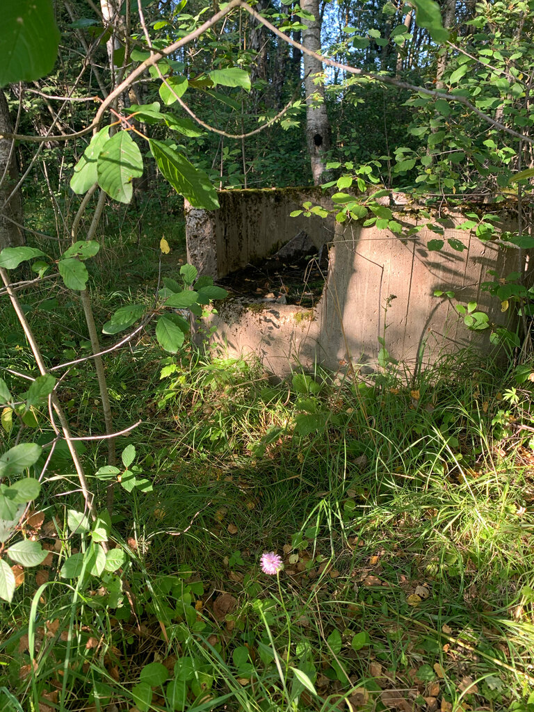 Turistik yerler Железобетонная пулемётная огневая точка, Moskova ve Moskovskaya oblastı, foto