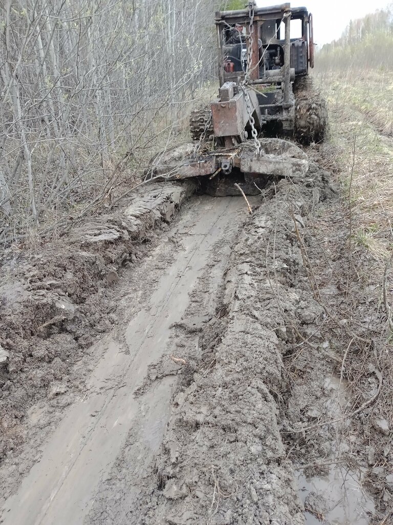 Orman işleri Туринский межхозяйственный лесхоз, Turinsk, foto