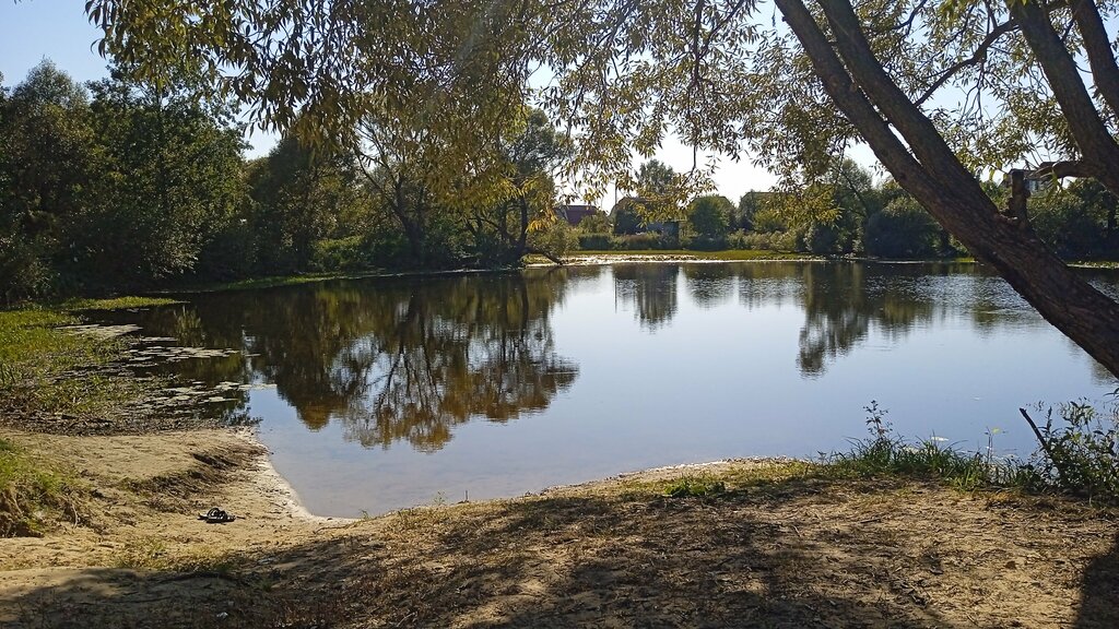 Plaj Пляж, Tambovskaya oblastı, foto
