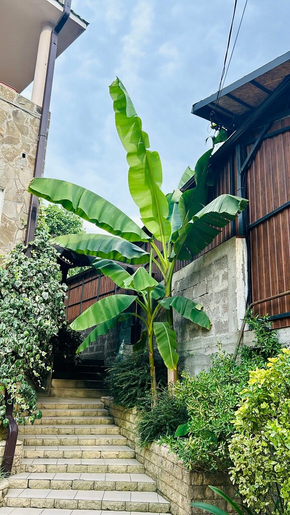 Otel Guesthouse Gus'-Khrustal'nyy, Soçi, foto