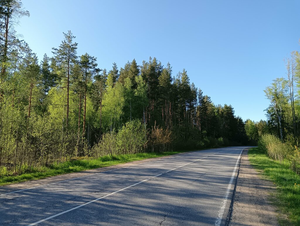 Giriş işareti Памятный километровый столб Дорога Жизни 42-й километр, Saint‑Petersburg ve Leningradskaya oblastı, foto