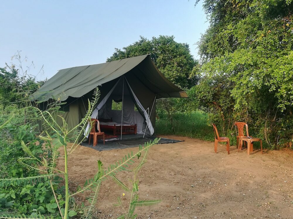 Otel Wild eco safari, , foto