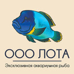 Лота (Flotskaya Street No:13к3с1), petshop  Moskova'dan