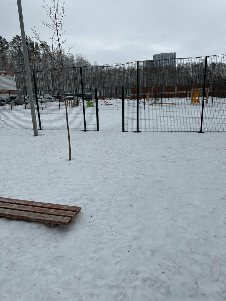 Buz pateni pistleri Ice rink, Yekaterinburg, foto