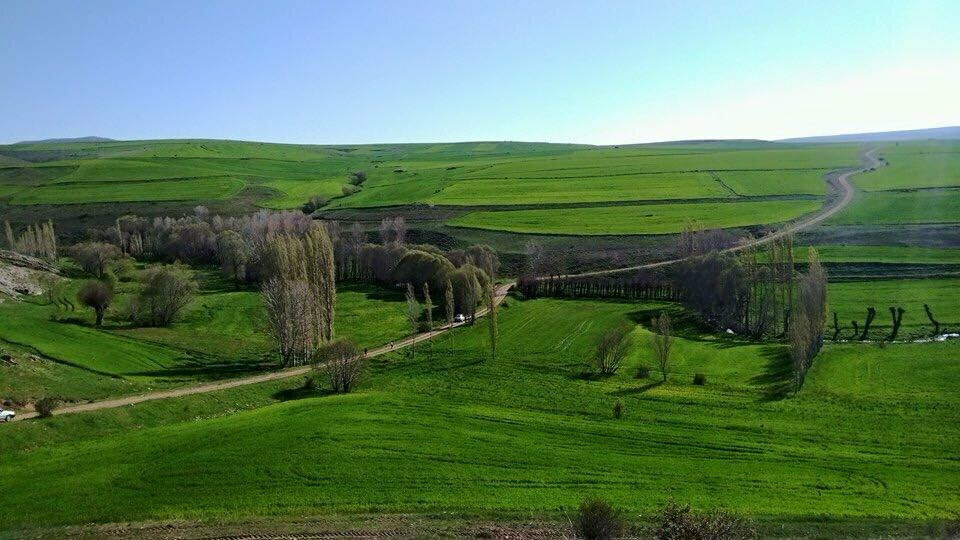 Muhtarlıklar Kavakdere Köy Muhtarlığı, Yıldızeli, foto