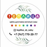 Teplitsa (ulitsa G. Zakirova No:74А, posyolok gorodskogo tipa Bogatyye Saby), çiçekçiler  Tataristan'dan