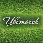 Cvetochek (Mira Avenue No:21), çiçekçiler  Snejinsk'ten