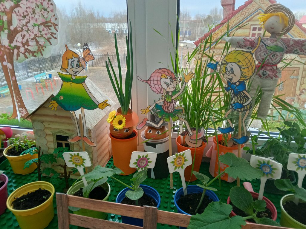 Anaokulları Detsky sad № 23, Kemerovo, foto