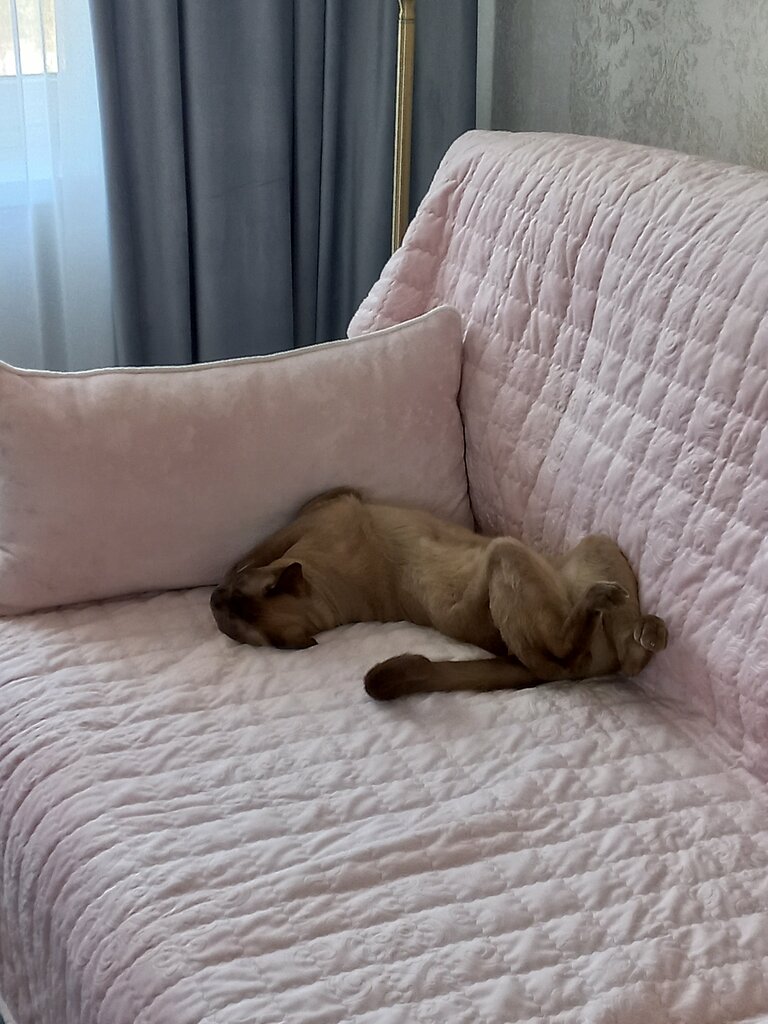 Koltuk takımı mağazaları Диван home, Novorossiysk, foto