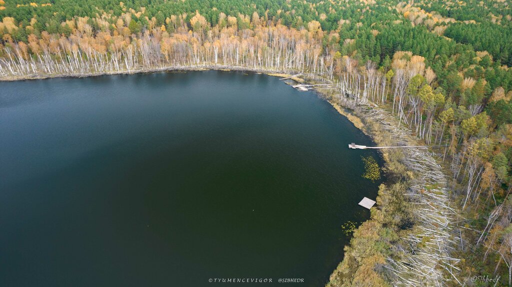 Resort oteller, tesisler База отдыха Пять озёр, Omskaya oblastı, foto