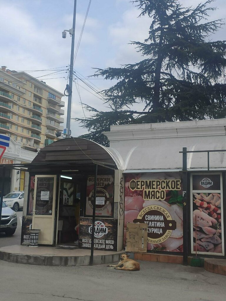 Kasap, şarküteri Домашнее мясо, Yalta, foto
