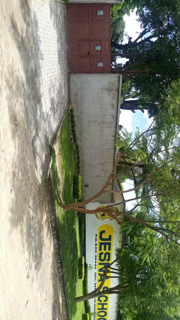 Ortaokul Jesna school, Lusaka, foto