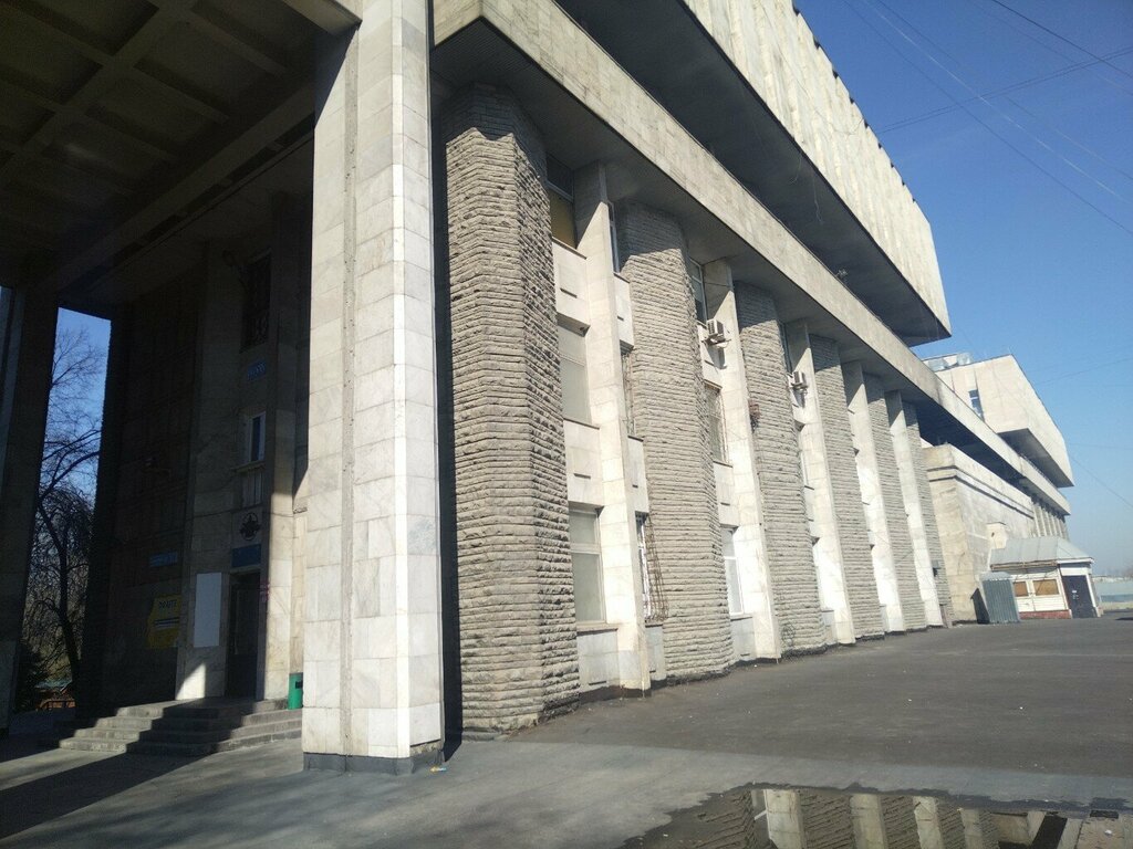 Çocuk gelişim merkezleri Giraffe Art School, Almatı, foto