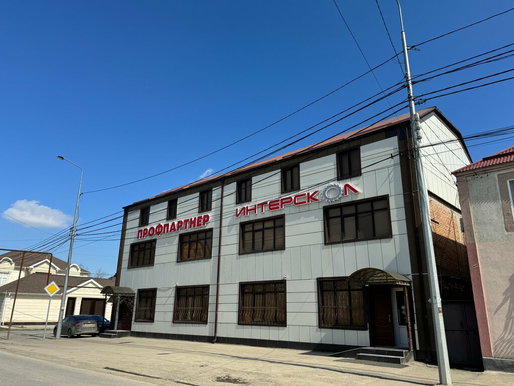 Elektrik ve benzinle çalışan aletler ProFPartner, Grozni, foto