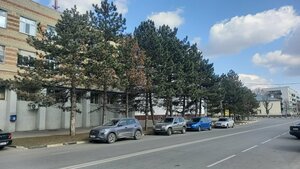 ООПТ Участок крымской сосны (Belgorod Region, Alekseyevka, ulitsa Pobedy), doğa koruma alanı  Alekseyevka'dan
