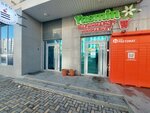 Chistaya Pitevaya Voda (Tóle Bı kóshesі No:51), su satışı  Astana'dan