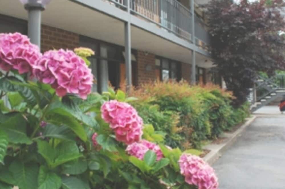 Otel Red Cedars Motel, Canberra, foto