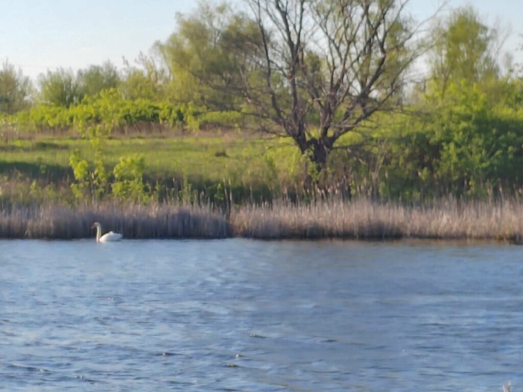 Park, sokak heykeli Богиня любви Лада, Samarskaya oblastı, foto