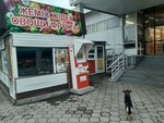 Qiwi (No:66, Jastar shaǵyn aýdany), ödeme terminali  Taldıkorgan'dan