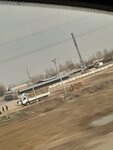 Скотный рынок (Jalal-Abad Region, City of Bazar-Korgon), pazarlar ve çarşılar